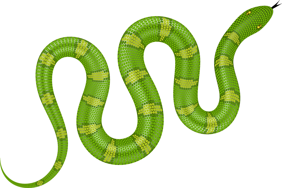 Dr Pierre LaMothe – MPPMG